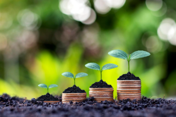 Investor's Guide l How To Pick The Best Investment Plan In India