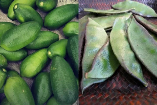 Assam Lemon 'Kaji Nemu' And 'Urohi' Beans Exported Across World