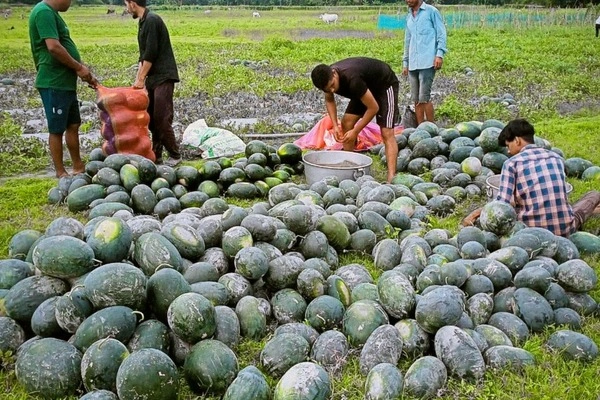 Assam to Support 500 FPOs Under Chief Minister’s Scheme