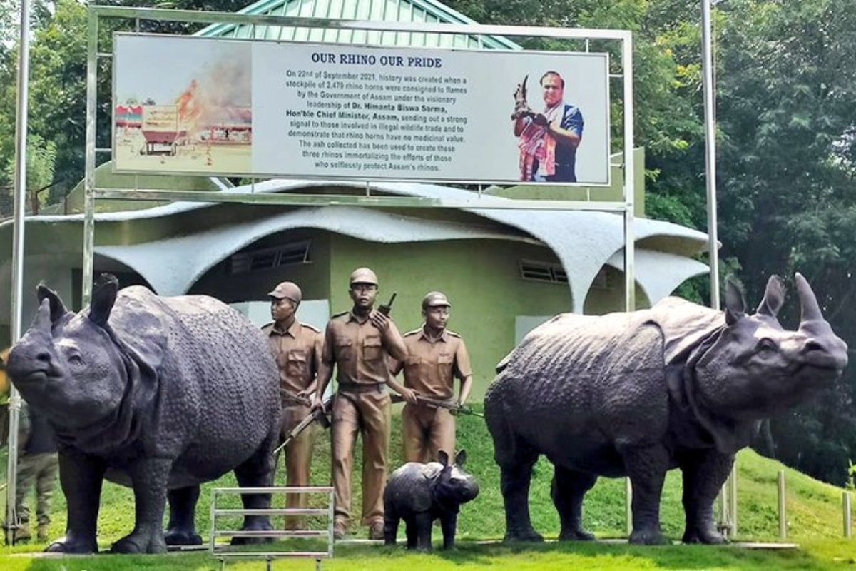 Three Rhino Statues Made From Ashes Of Rhino Horns In Kaziranga