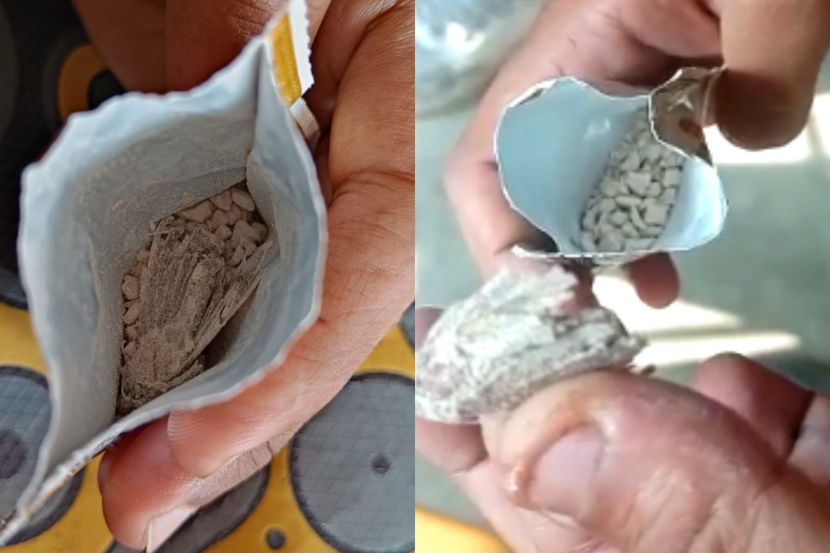 Guwahati Resident Finds Insect Inside Pan Masala Packet