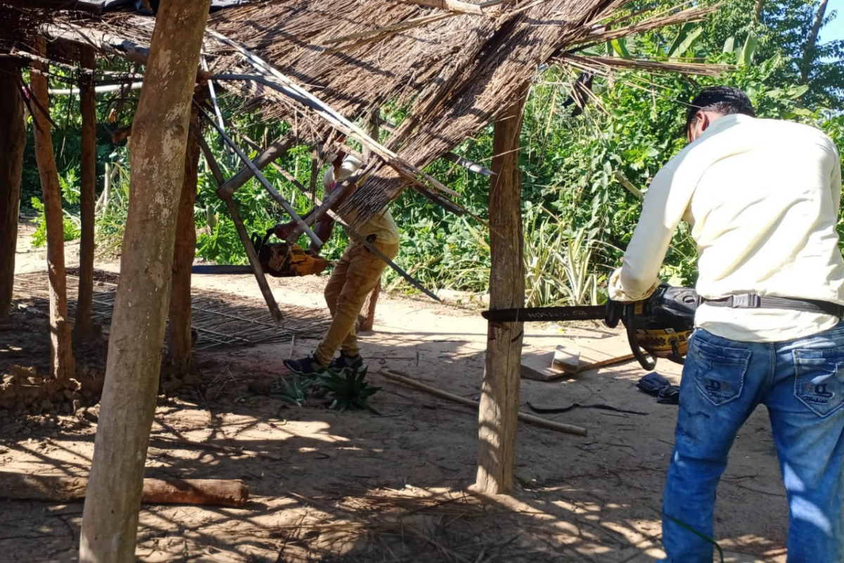 Assam: 736 Houses Removed In Lumding Reserve Forest Within 5 Days