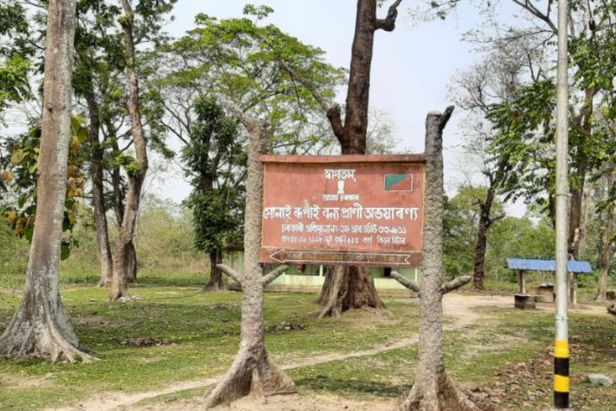PWD Roads To Polling Booths Inside Sunai Rupai Wildlife Sanctuary: NGT ...