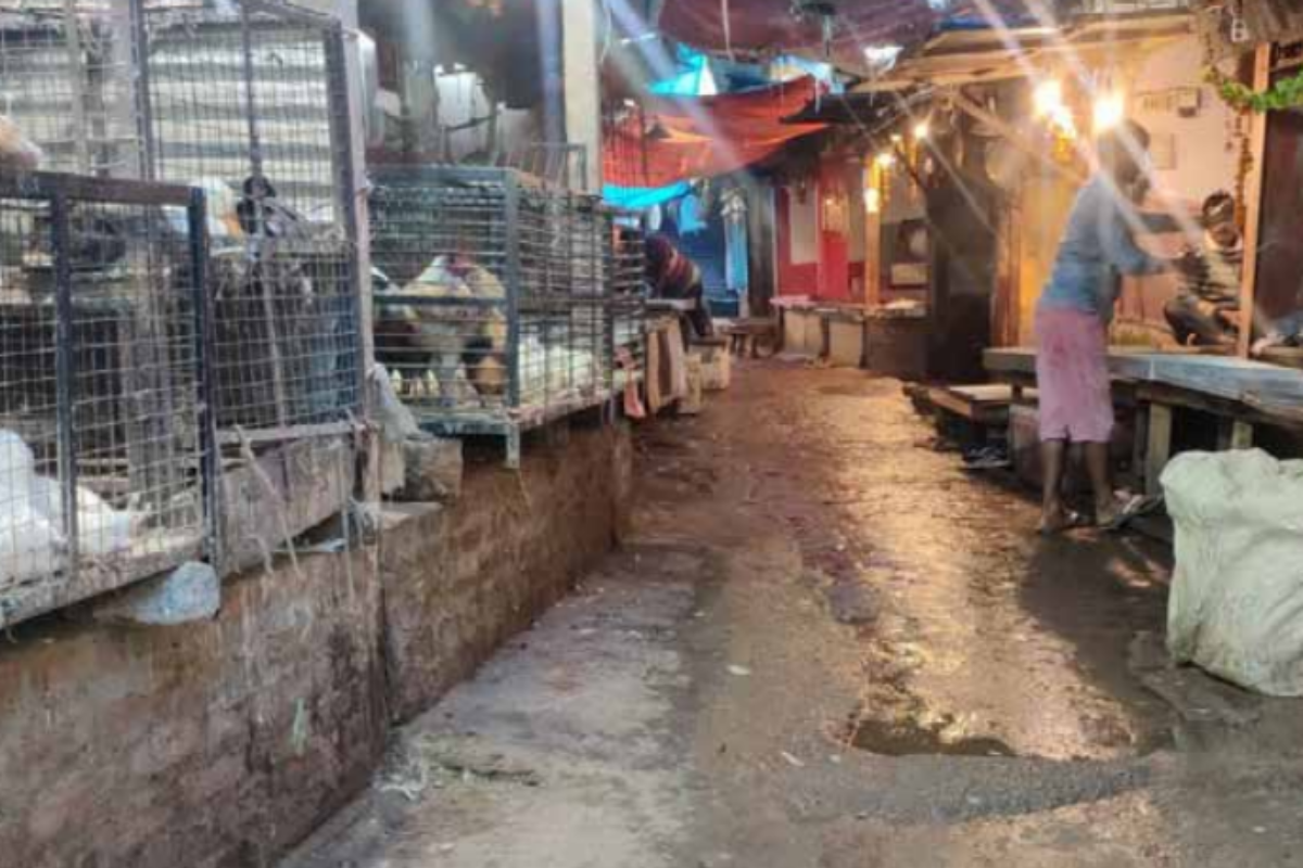 Unhygienic Meat Sale Continues In Guwahati Under GMC’s Nose