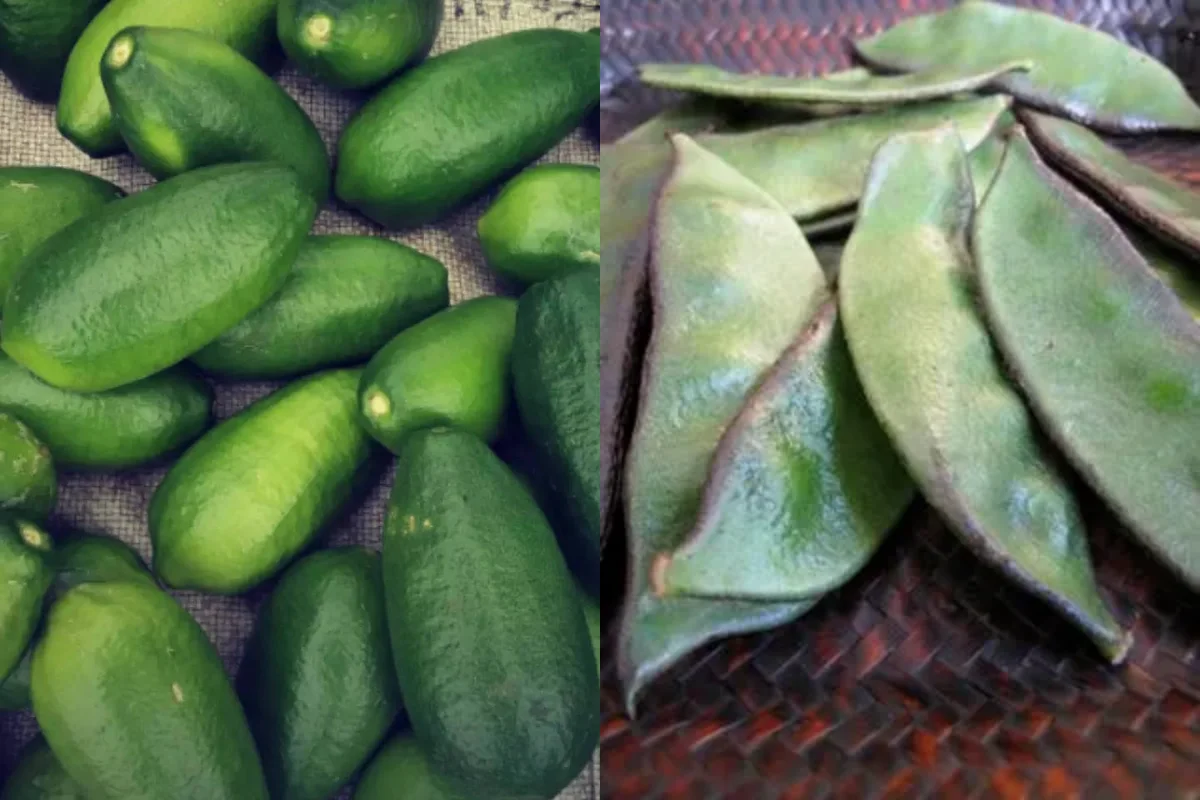 Assam Lemon 'Kaji Nemu' And 'Urohi' Beans Exported Across World
