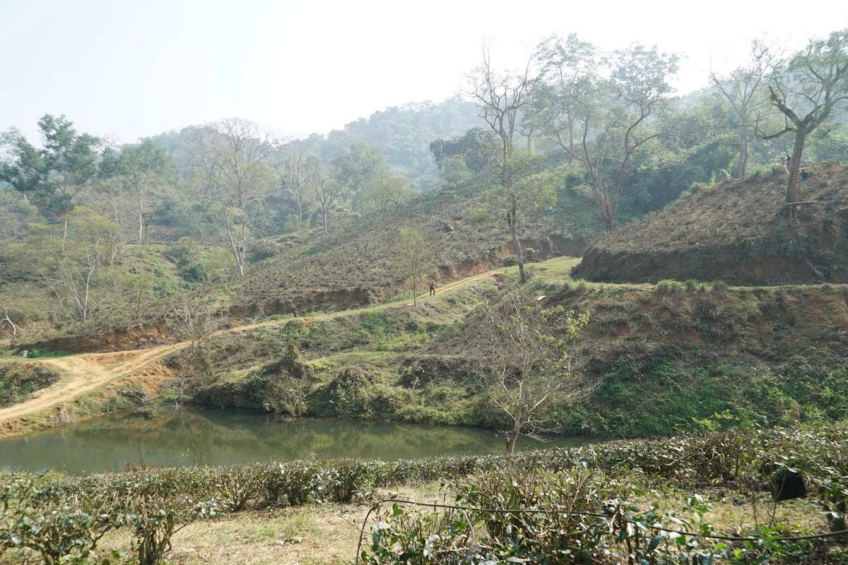 Illegal Settlements Are Threatening Guwahati's Shrinking Forests