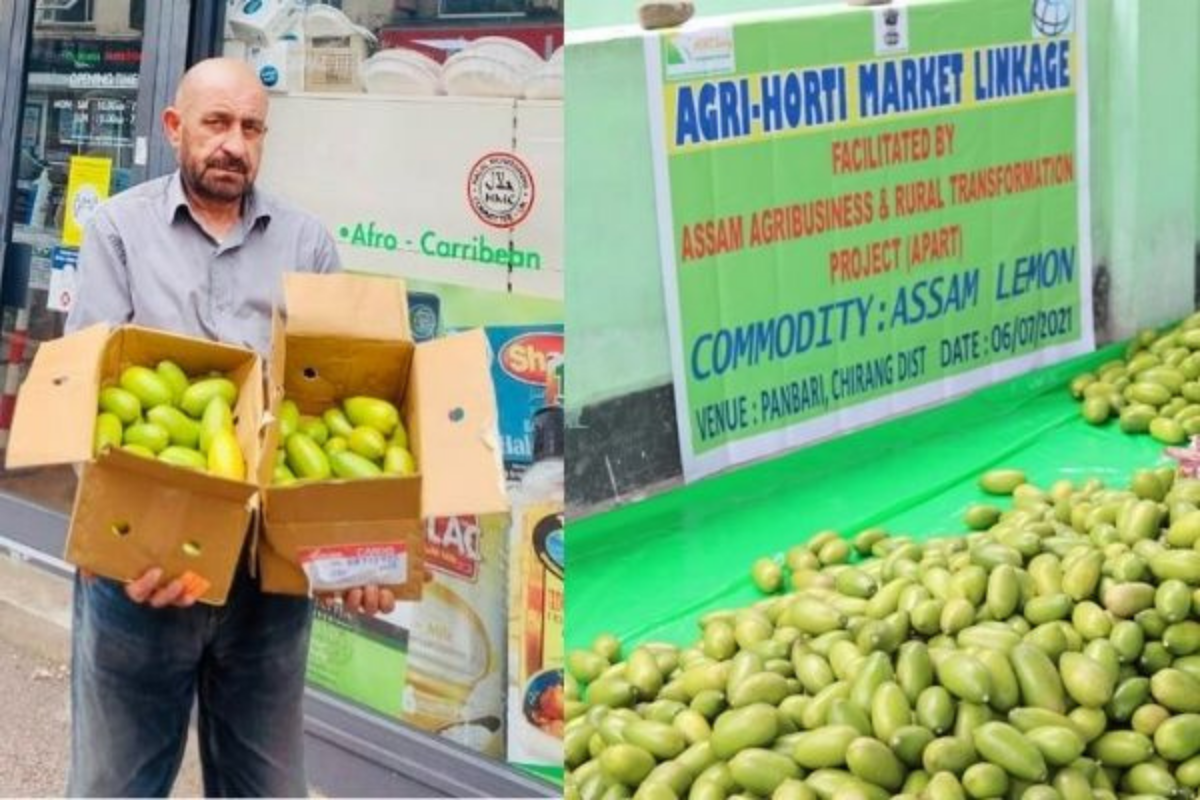 Assam's Popular Lemon ‘Kaji Nemu’ Reaches UK Market
