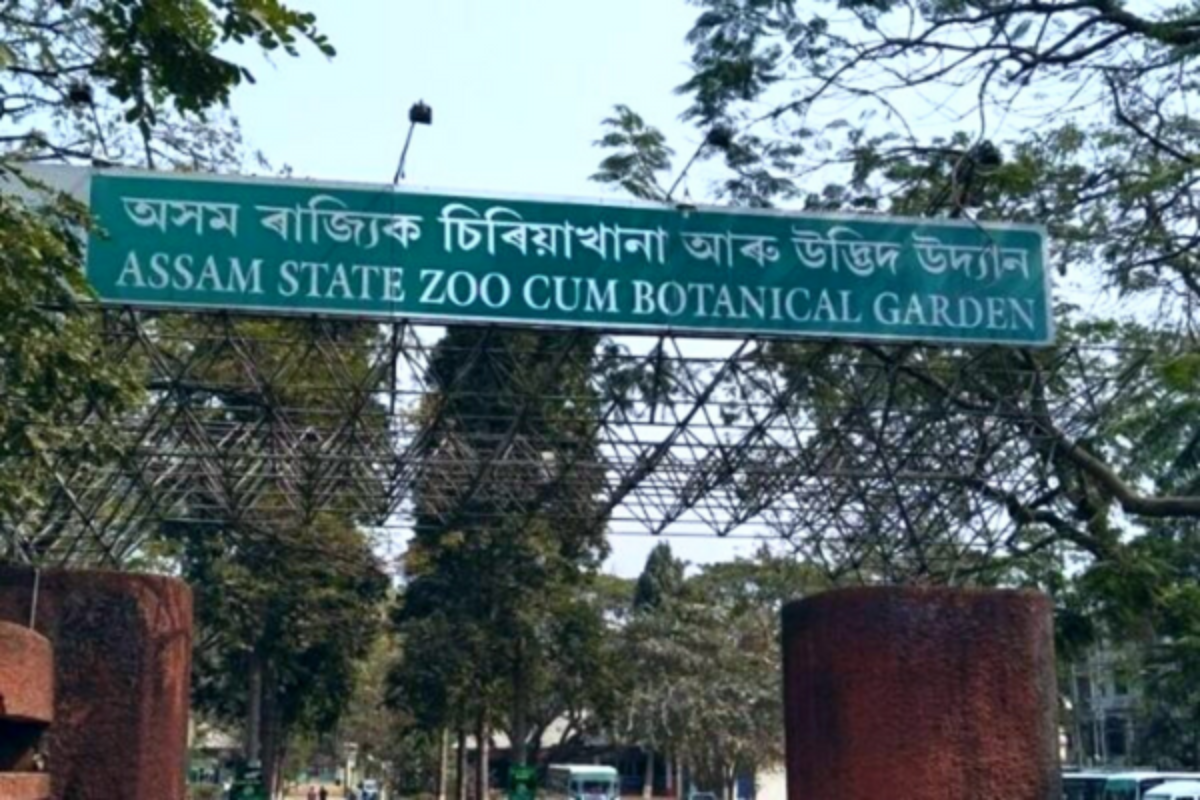 80 Animals From Assam State Zoo Relocated To Other State Zoos