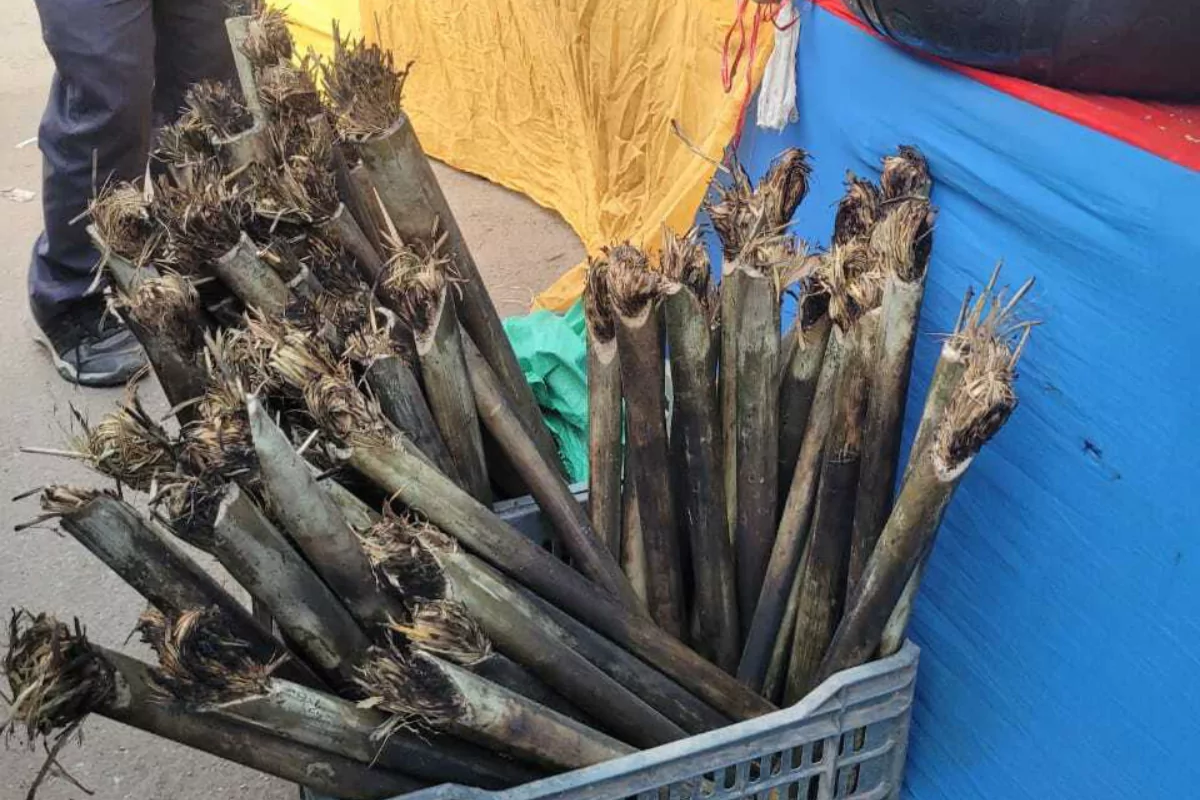 Sunga Pitha No Longer Traditional Mandate In Guwahati