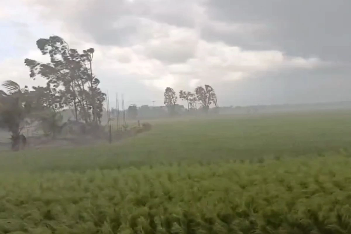 How Much Damage Did Cyclone Montha Make in India So Far?