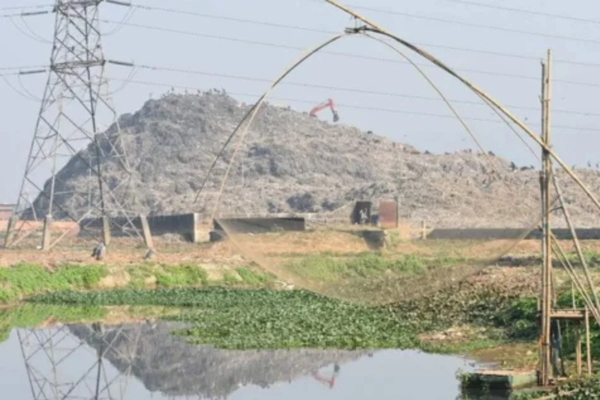 SWIFT Project Set To Rejuvenate Assam’s Beels And Boost Fish Production