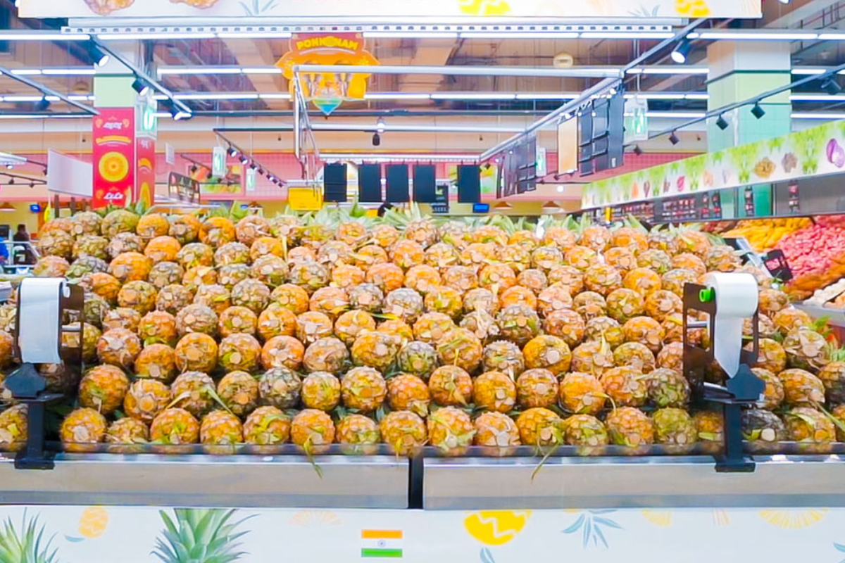 Export Of Pineapples From Northeast Grows Amid Huge Demand