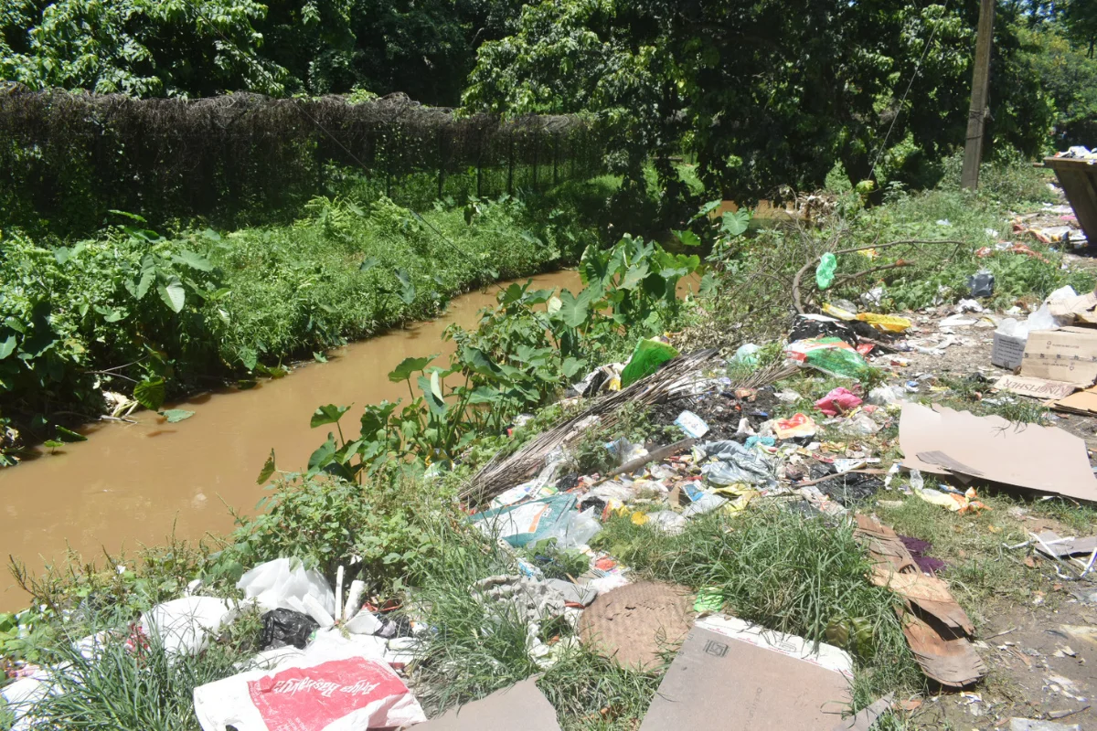 Basistha River Turns Into Toxic Wasteland Due To Pollution & Neglect