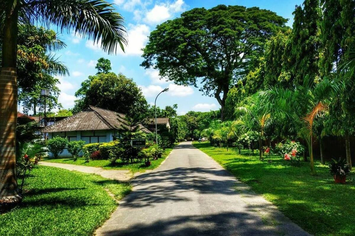 Assam's Tocklai Tea Research Institute Develops Product To Boost Pest ...