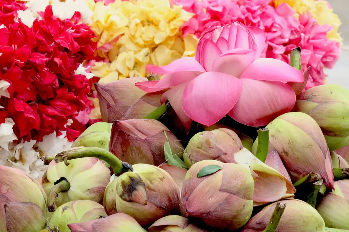 Why Red Roses And Lotuses Grace Hanuman's Altar