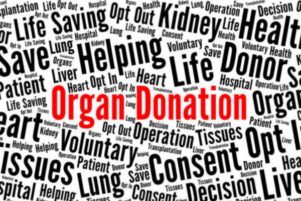 Bridging The Gap In Organ Donation