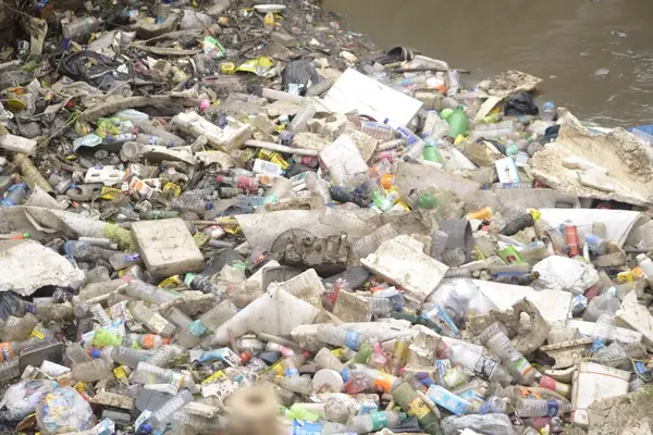 Opinion | Beyond the Bin: Plastic Pollution's Toxic Grip on Our Planet