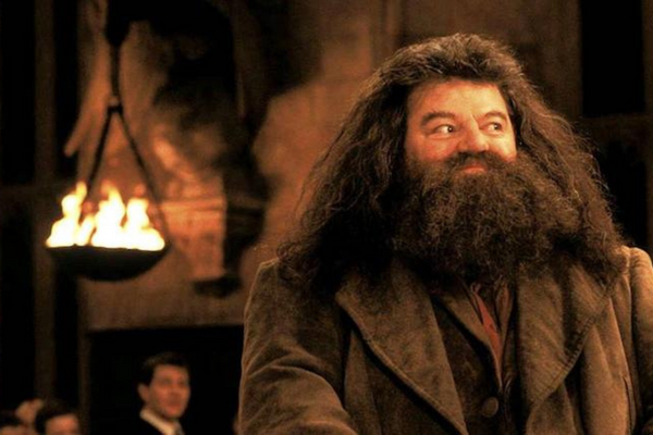 Raising Our Wands In Memory Of Rubeus Hagrid