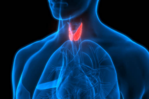 Hypothyroidism And Everything You Need To Know